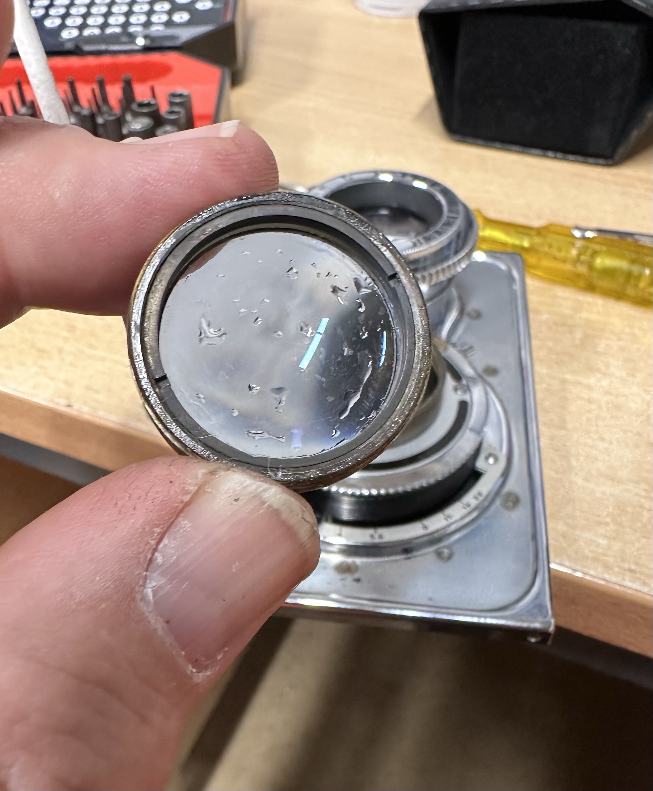 Halina A1 Reflex fungus clean – Foxes Den